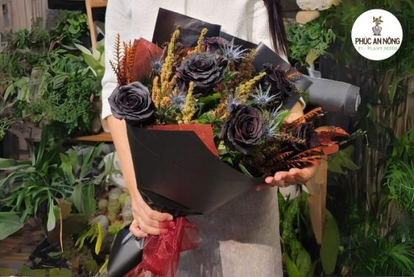 Ý nghĩa hoa hồng đen | Sự tích và ý nghĩa tặng hoa hồng đen