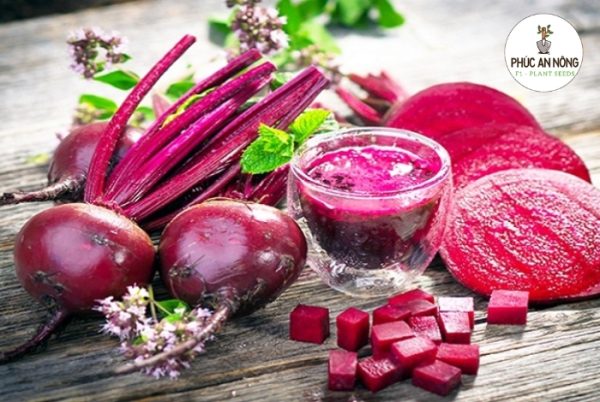 11 Lợi ích và tác hại của củ dền đỏ - Lưu ý quan trọng khi sử dụng